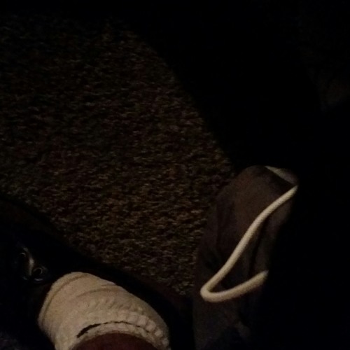 Stream dhfhfj music | Listen to songs, albums, playlists for free on ...