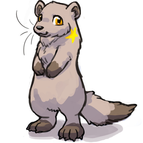 Stream Ploof the Fisher Cat music | Listen to songs, albums, playlists ...