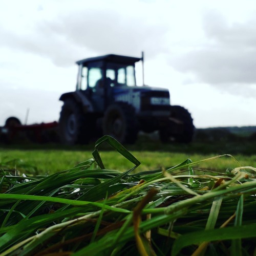 Stream pom music | Listen to songs, albums, playlists for free on ...