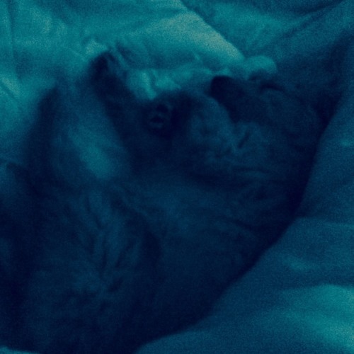 Stream John Norrie music | Listen to songs, albums, playlists for free ...