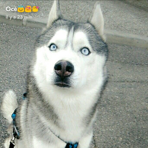 Stream ocèanne music | Listen to songs, albums, playlists for free on ...