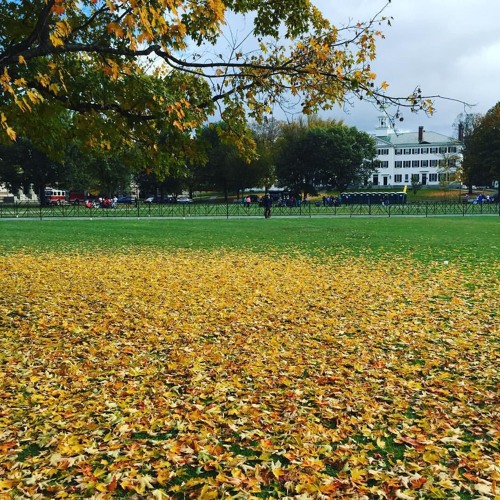 Stream Raveena Gupta music | Listen to songs, albums, playlists for ...