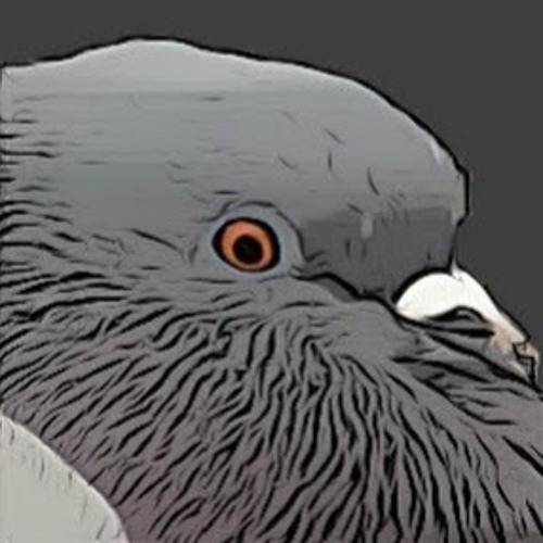 Stream Dank Pigeon music | Listen to songs, albums, playlists for free ...
