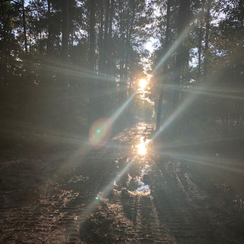 Stream Josh Barbee music | Listen to songs, albums, playlists for free ...