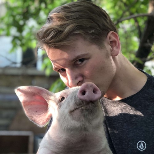 Stream Hog Gang music | Listen to songs, albums, playlists for free on ...