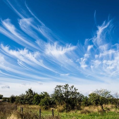 Stream Sianne Dougherty music | Listen to songs, albums, playlists for ...