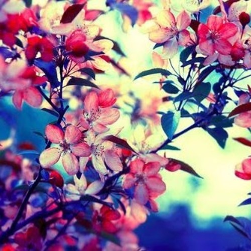 Stream Julia Persaud music | Listen to songs, albums, playlists for ...