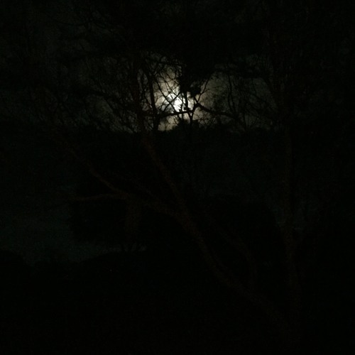 Stream Nilesh Amin music | Listen to songs, albums, playlists for free ...