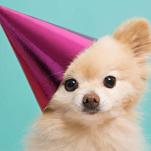 Stream Faith Saylor music | Listen to songs, albums, playlists for free ...