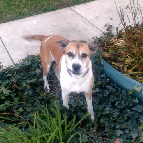 Stream BrockLee music | Listen to songs, albums, playlists for free on ...