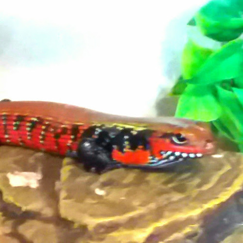 Stream random dude 3.0 music | Listen to songs, albums, playlists for ...