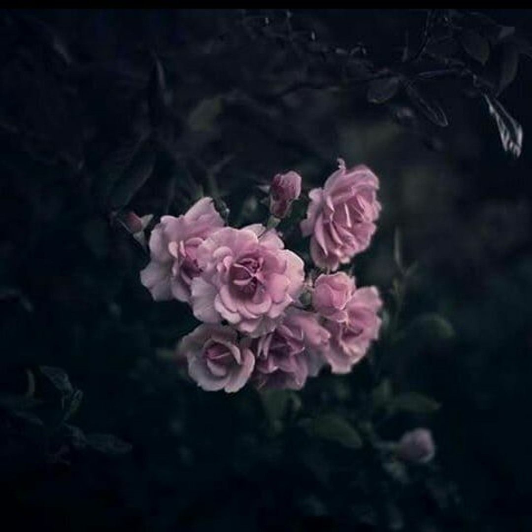 Stream فديتك روحي بدون موسيقى by Arwa Samak | Listen online for free on SoundCloud