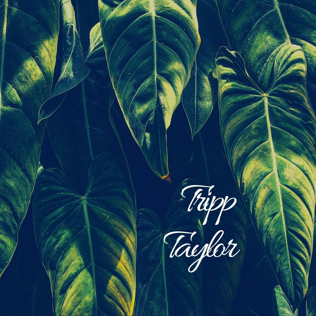 Stream Njjjjj by Tripp Taylor | Listen online for free on SoundCloud