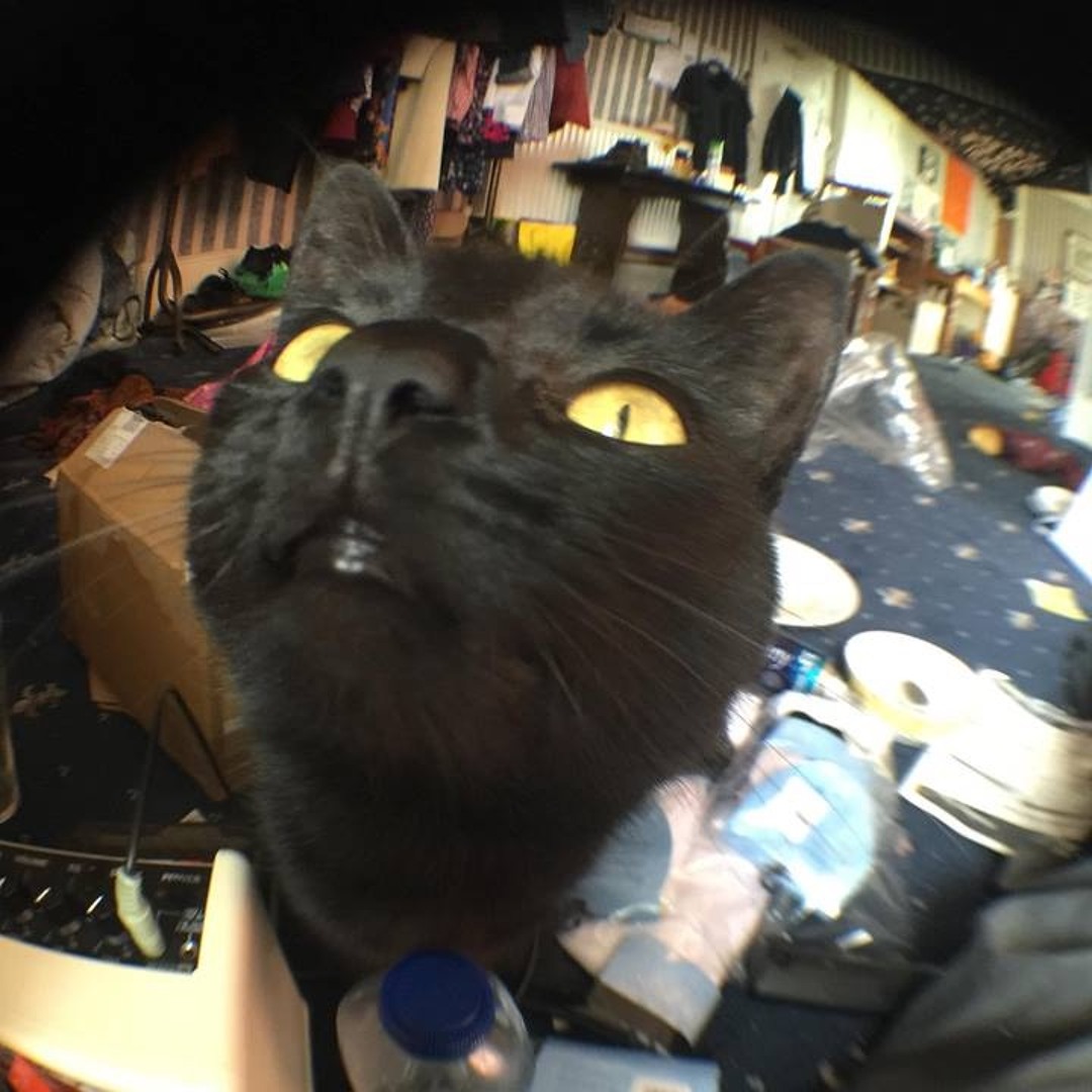 Stream THTHTHTH music | Listen to songs, albums, playlists for free on ...