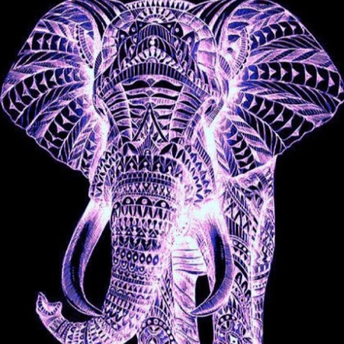 Stream Ellie Rausch music | Listen to songs, albums, playlists for free ...