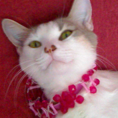 Stream fabienne auguste-virginie music | Listen to songs, albums ...