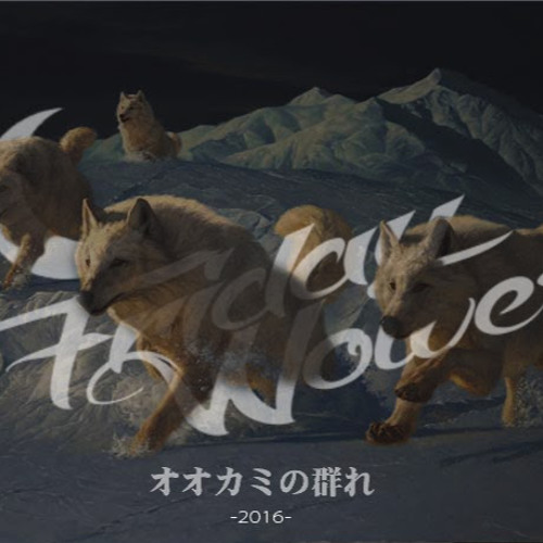 Stream Friday Wolves music | Listen to songs, albums, playlists for ...