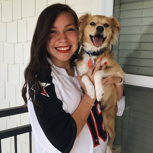 Stream Dog Owners How The Advantages Outweigh The Disadvantages by ...