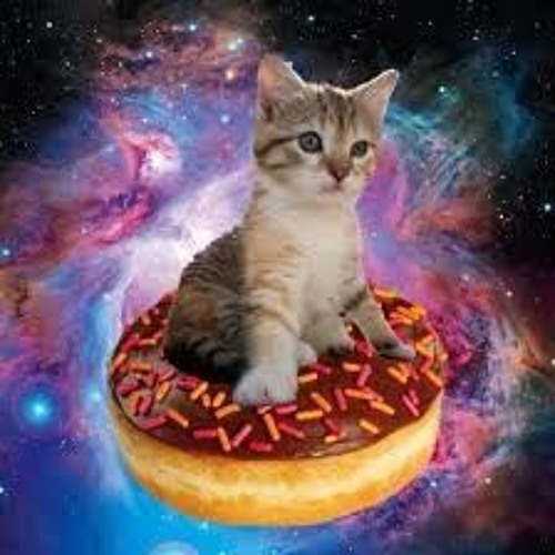 Stream SpaceKitty music | Listen to songs, albums, playlists for free ...