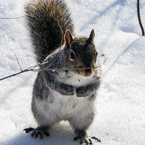 Stream BLACK TANKS by HOREIDA | Listen online for free on SoundCloud