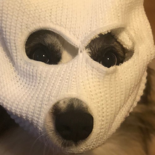 Stream A MILLI REMIX FT. ASHER ROTH, DRAKE, KENDRICK LAMAR, KANYE WEST ...