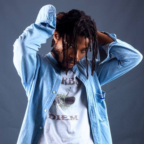 Stream stray from the pack music | Listen to songs, albums, playlists ...