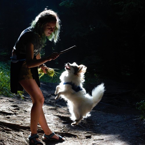 Stream Lil' deer music | Listen to songs, albums, playlists for free on ...