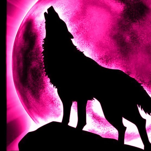 Stream 666 Wolf music | Listen to songs, albums, playlists for free on ...