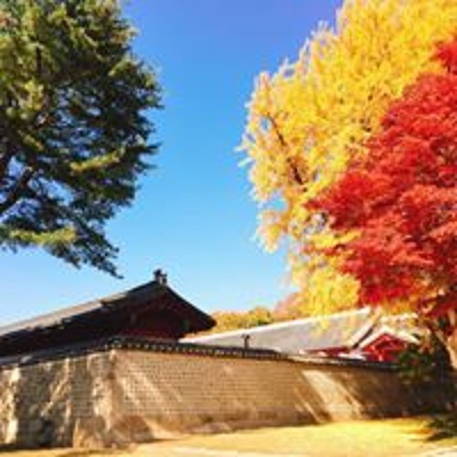 Stream Esther Lin music | Listen to songs, albums, playlists for free ...