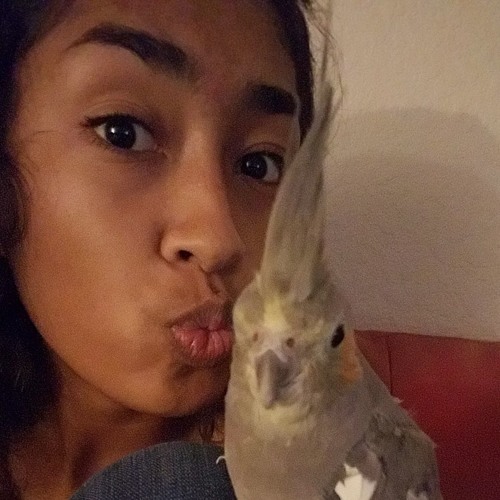 Stream Ari Knight music | Listen to songs, albums, playlists for free ...