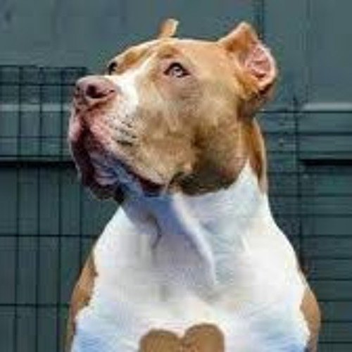 Stream Ruby Maldonado music | Listen to songs, albums, playlists for ...