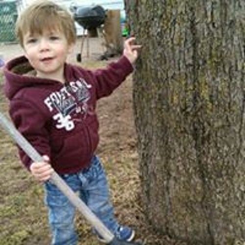 Stream bobcat music | Listen to songs, albums, playlists for free on ...