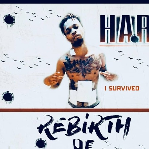 Stream TRACK.14 REBIRTH OF HARV by Names Harv | Listen online for free ...