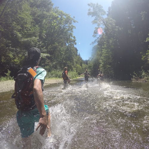 Stream Michael Giuffre music | Listen to songs, albums, playlists for ...