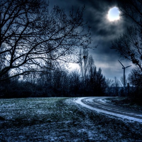 Stream Some Random Dude music | Listen to songs, albums, playlists for ...