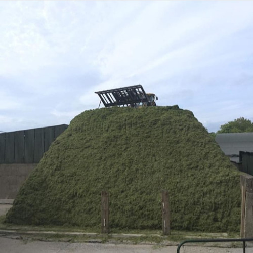 Stream Brendan finnerty music | Listen to songs, albums, playlists for ...