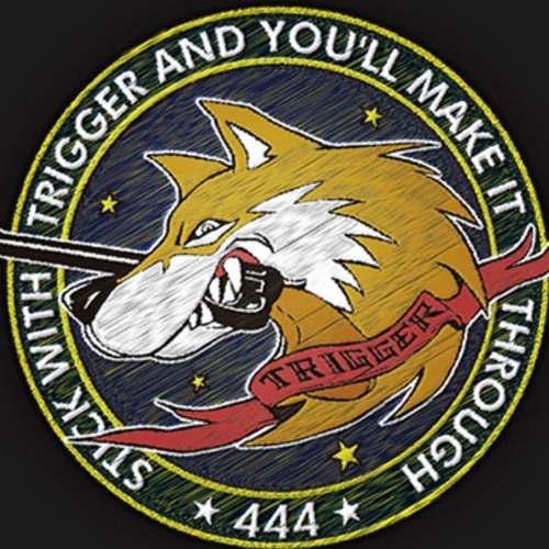 Ace combat 7 trigger - brocanna