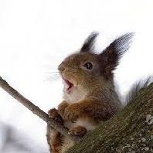 Stream Allison Flaherty music | Listen to songs, albums, playlists for ...