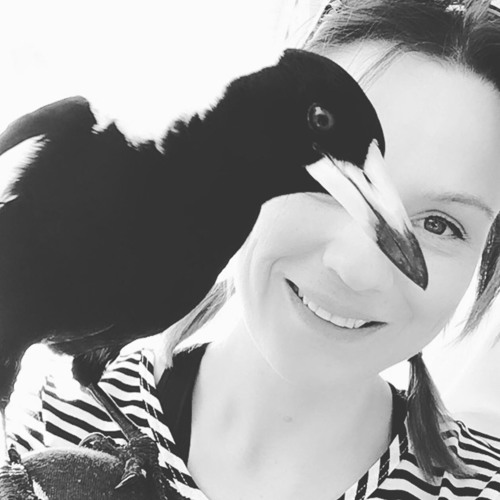 Stream The Magpie Whisperer music | Listen to songs, albums, playlists ...