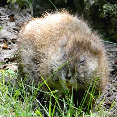 Stream Cooper Pearce music | Listen to songs, albums, playlists for ...