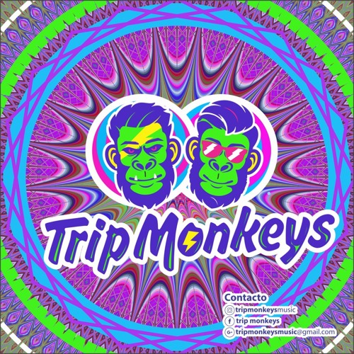 Stream TRIP MONKEYS MUSIC music | Listen to songs, albums, playlists ...