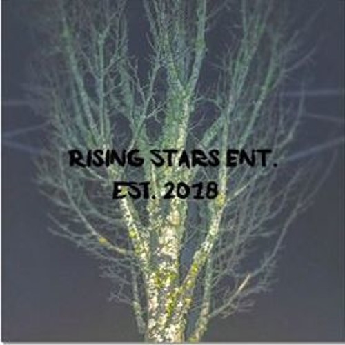 Stream Rising Stars Ent. music | Listen to songs, albums, playlists for ...