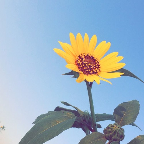 Stream Xponent music | Listen to songs, albums, playlists for free on ...