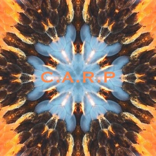 Stream C.A.R.P music | Listen to songs, albums, playlists for free on ...