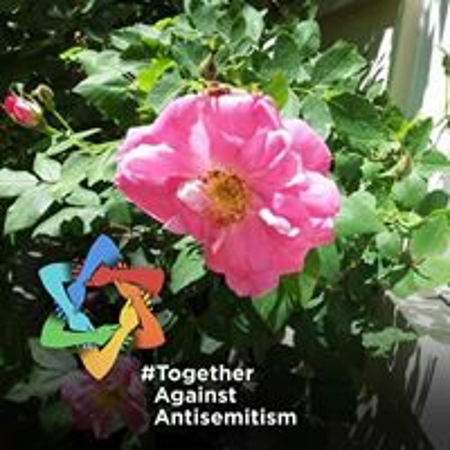 Stream Elisa Randall music | Listen to songs, albums, playlists for ...