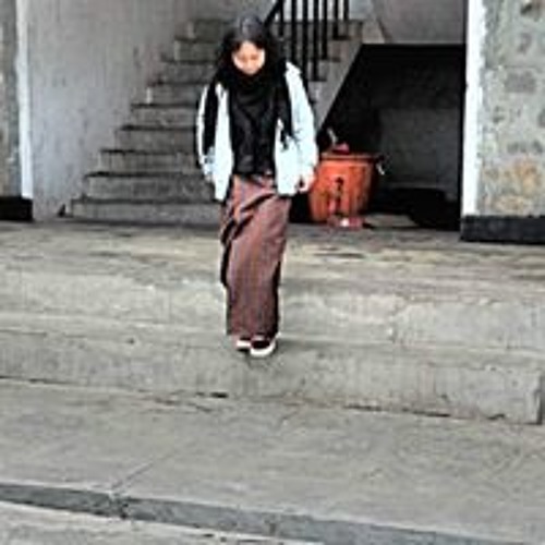 Stream Tshering gyem music | Listen to songs, albums, playlists for ...