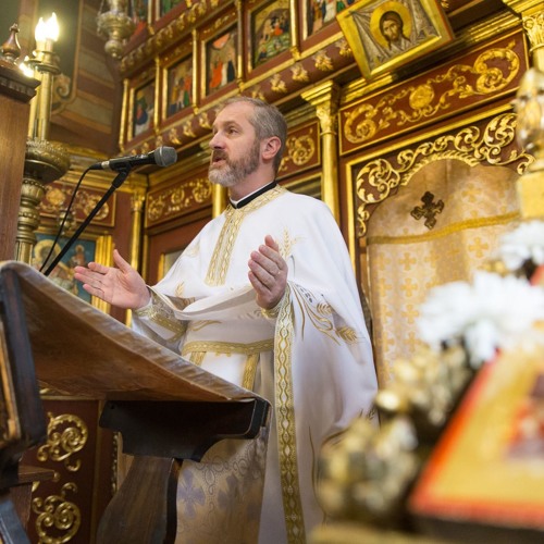 Stream Parintele Daniel Benga music | Listen to songs, albums ...