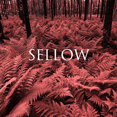 Stream Sellow Band music | Listen to songs, albums, playlists for free ...