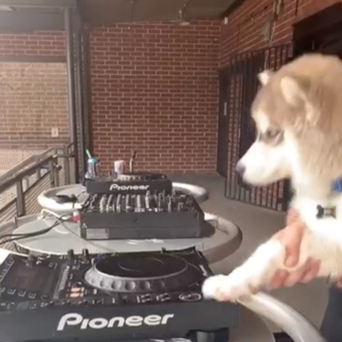 Stream Gerod Roth music | Listen to songs, albums, playlists for free ...