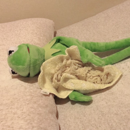 Stream Karin Takeuchi music | Listen to songs, albums, playlists for ...